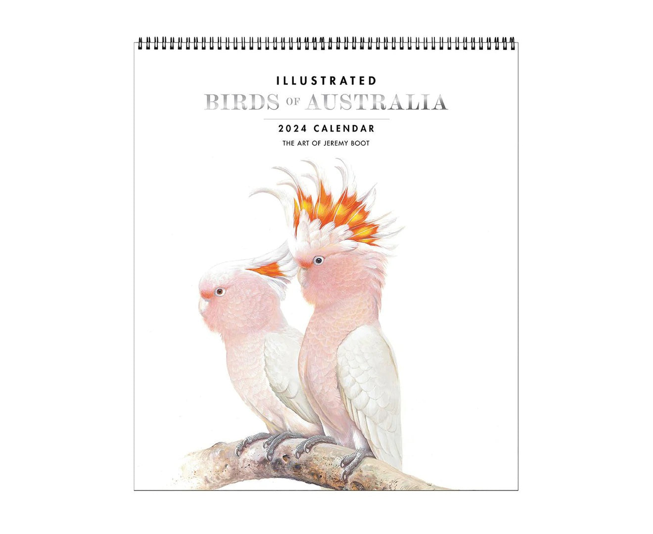 2025 Birds of Australia Calendar – Jeremy Boot Collections