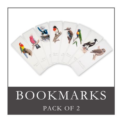 Jeremy Boot Collections