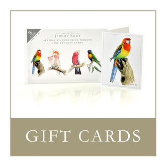 Jeremy Boot Collections