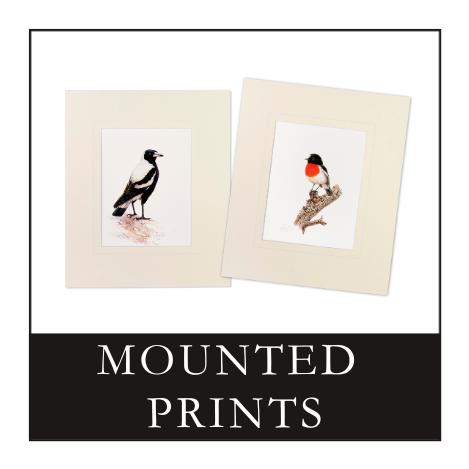 Jeremy Boot Collections