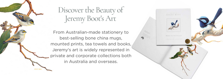 Jeremy Boot Collections