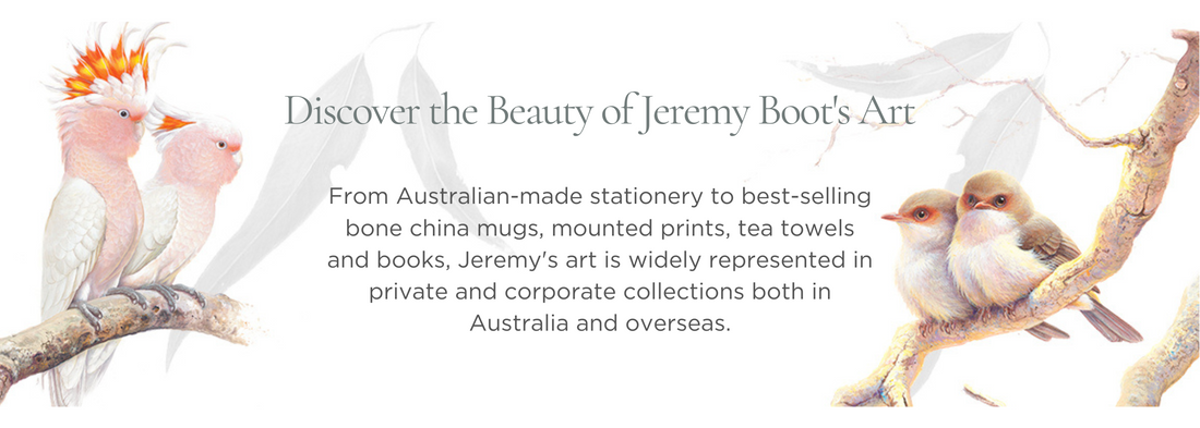 Jeremy Boot Collections