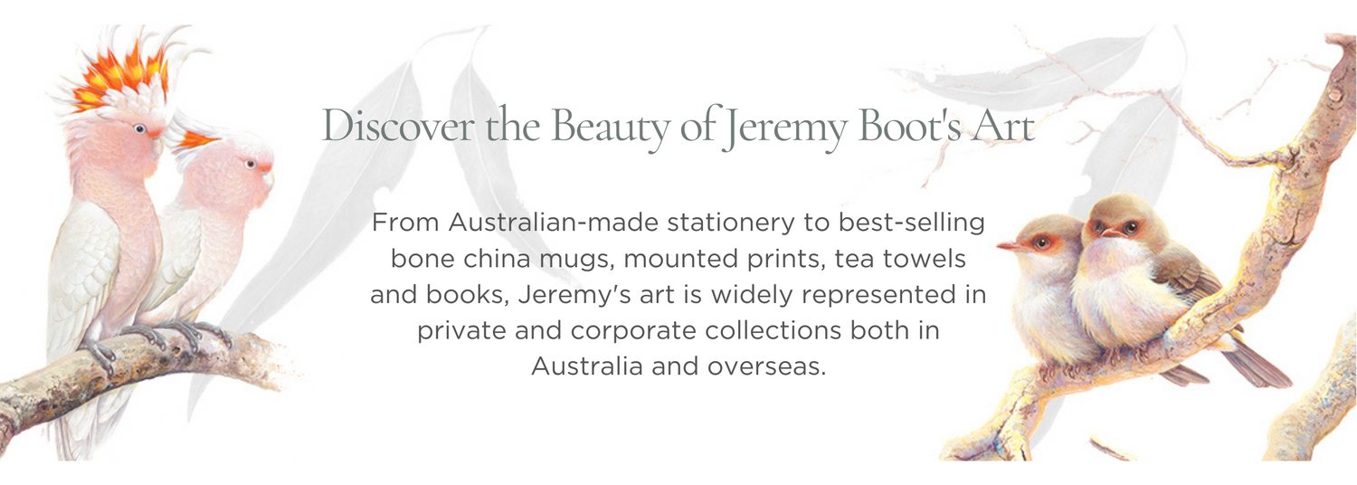 Jeremy Boot Collections