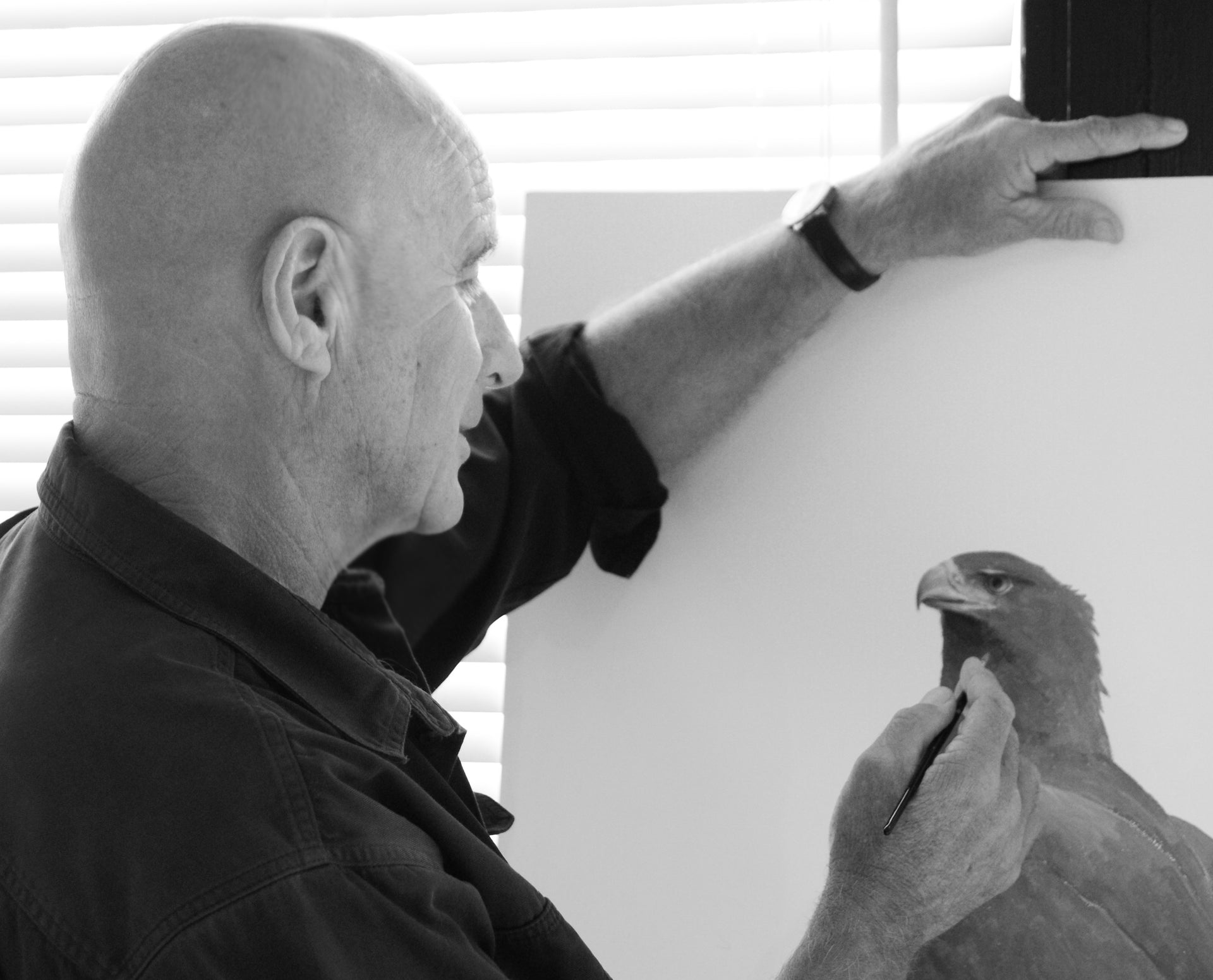 Jeremy Boot Collections