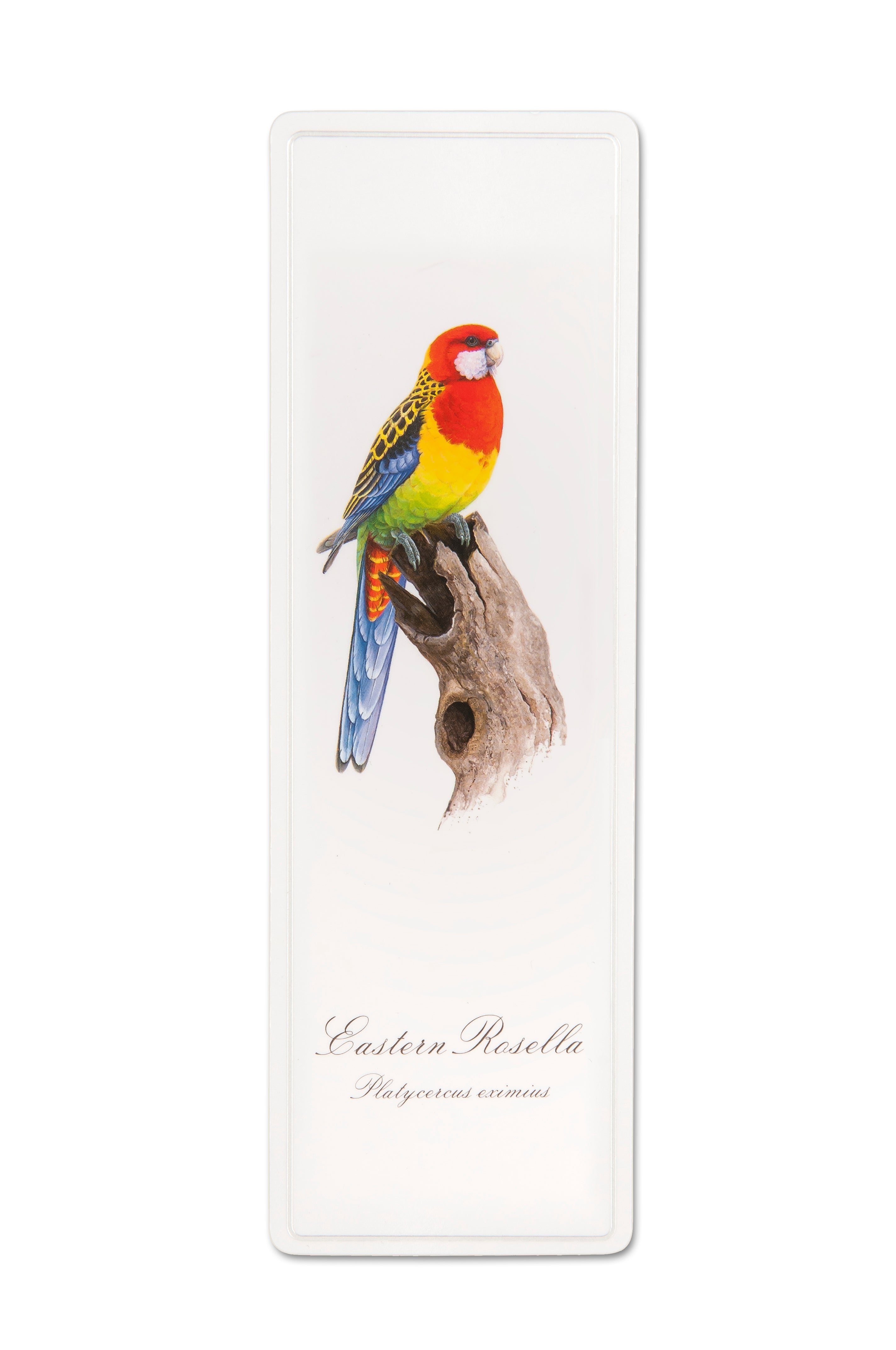 Bookmark - Eastern Rosella – Jeremy Boot Collections
