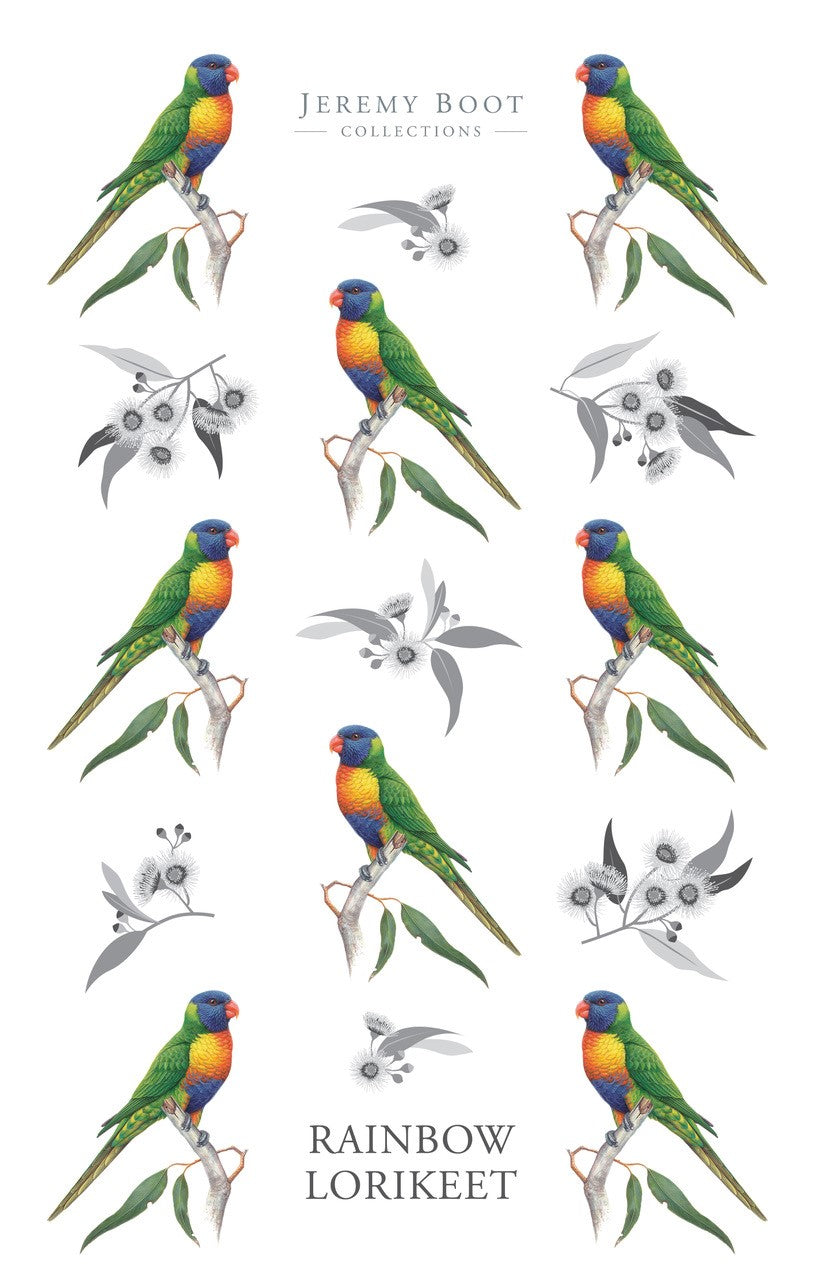 Tea Towel - Rainbow Lorikeet – Jeremy Boot Collections