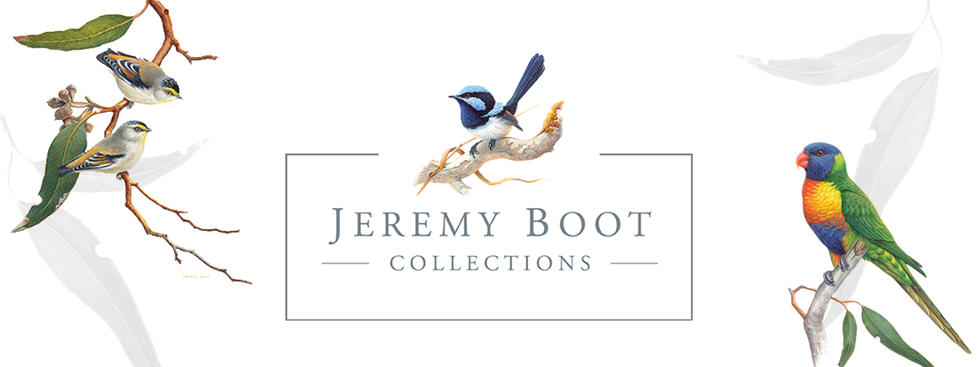 Jeremy Boot Collections