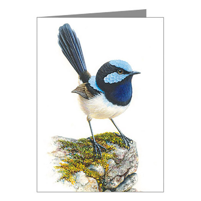 Blue Wren – Jeremy Boot Collections