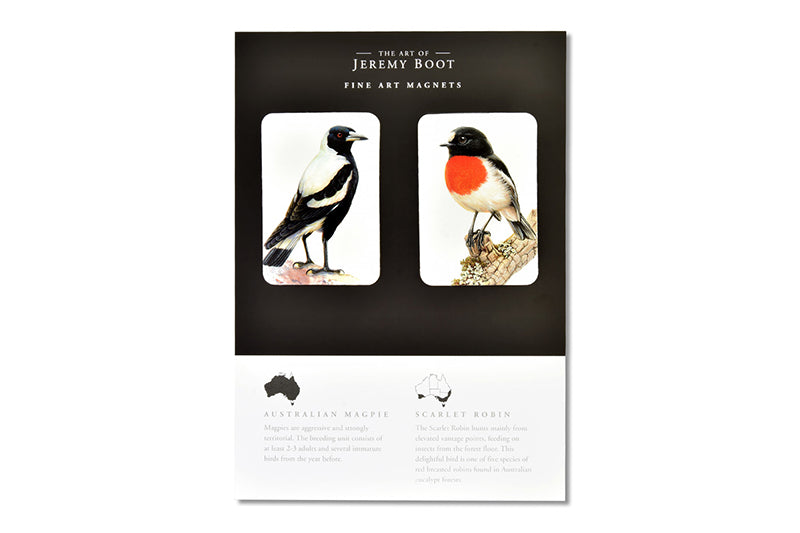 Magnet Pairs – Jeremy Boot Collections