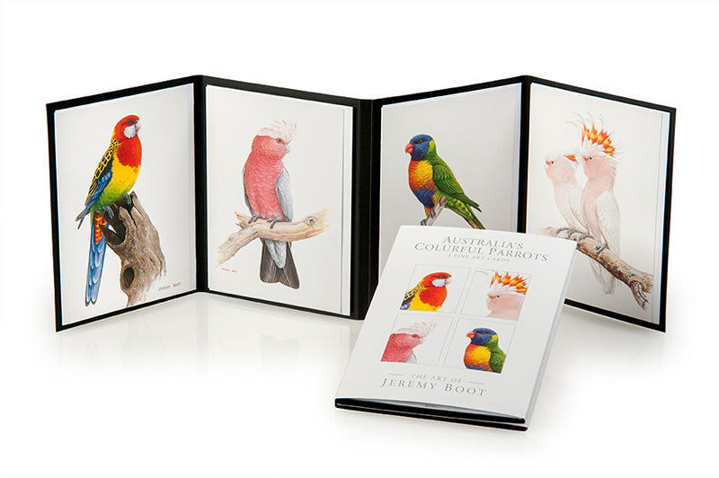 Folder - Australian Colourful Parrots – Jeremy Boot Collections